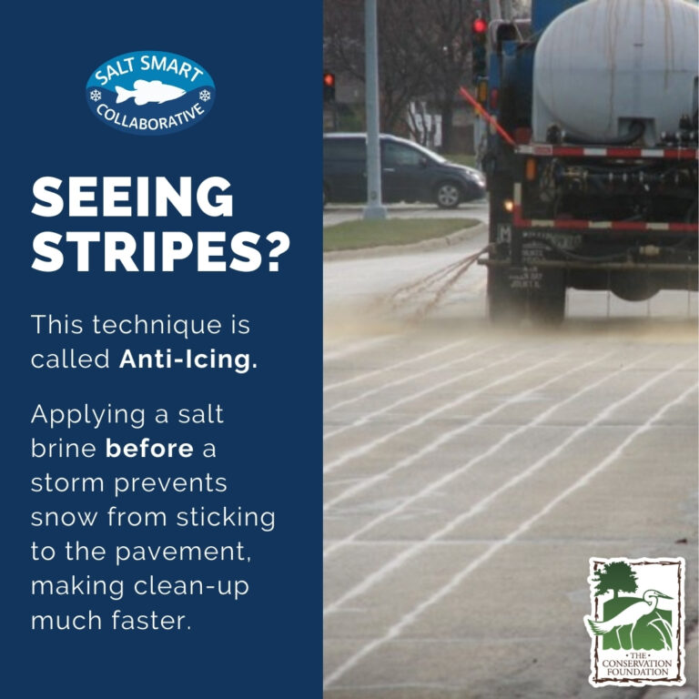 From Streets to Streams: The Impact of Road Salt on the Environment ...