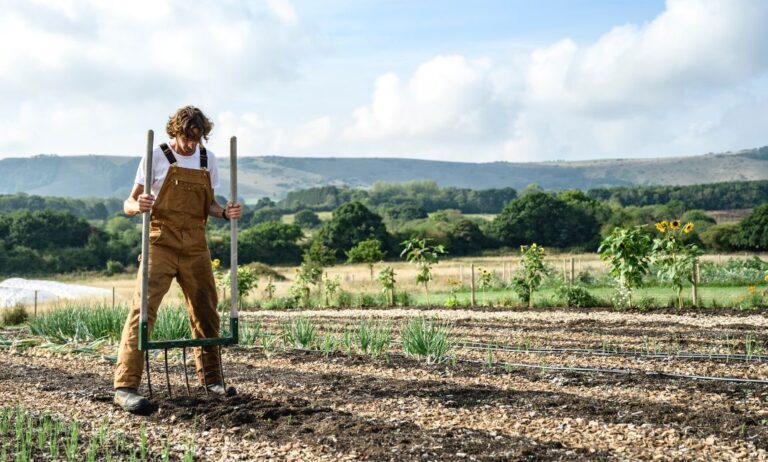 How Healthy Soil Makes Healthy Plants and Ecosystems - The Conservation ...