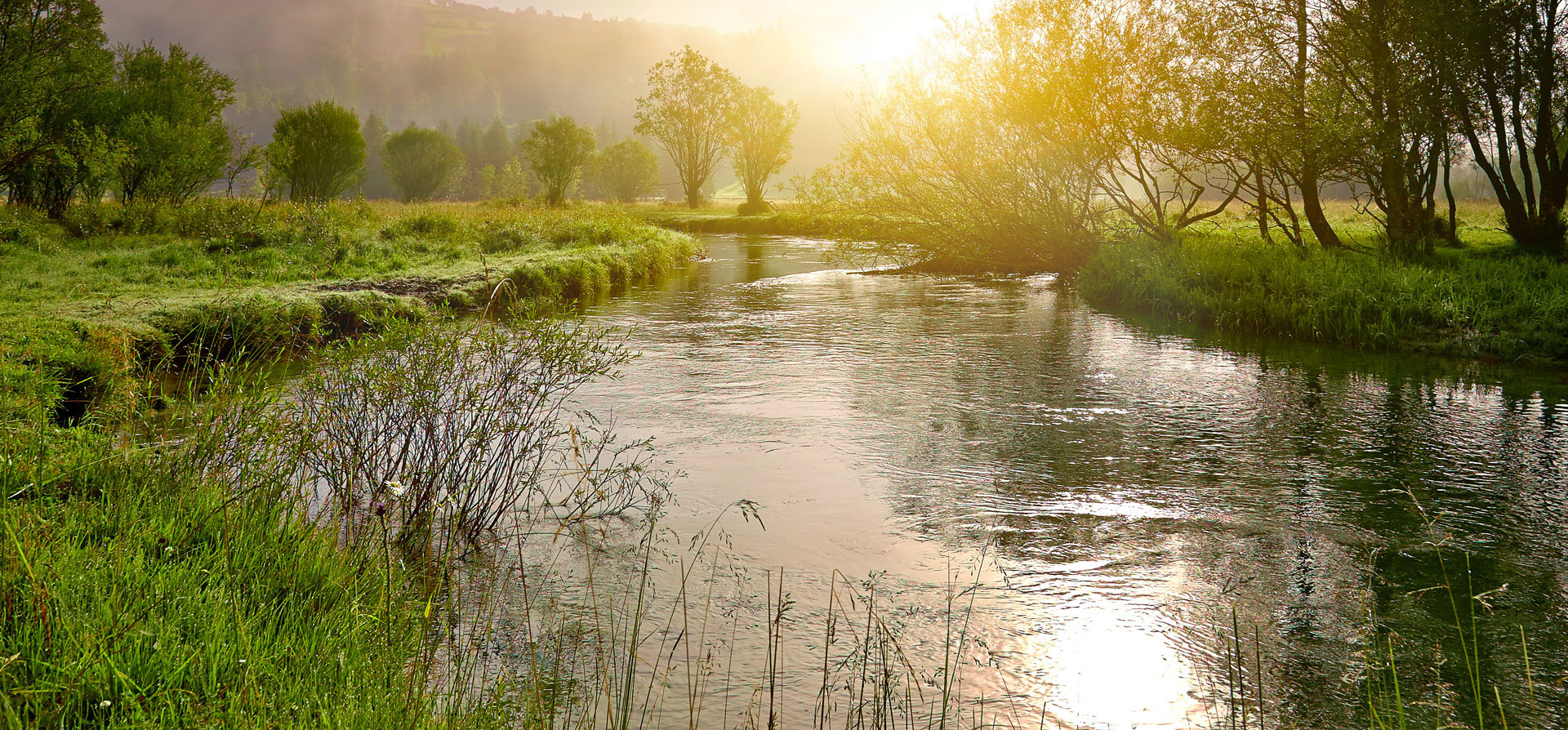 Land Trust Accreditation - The Conservation Foundation
