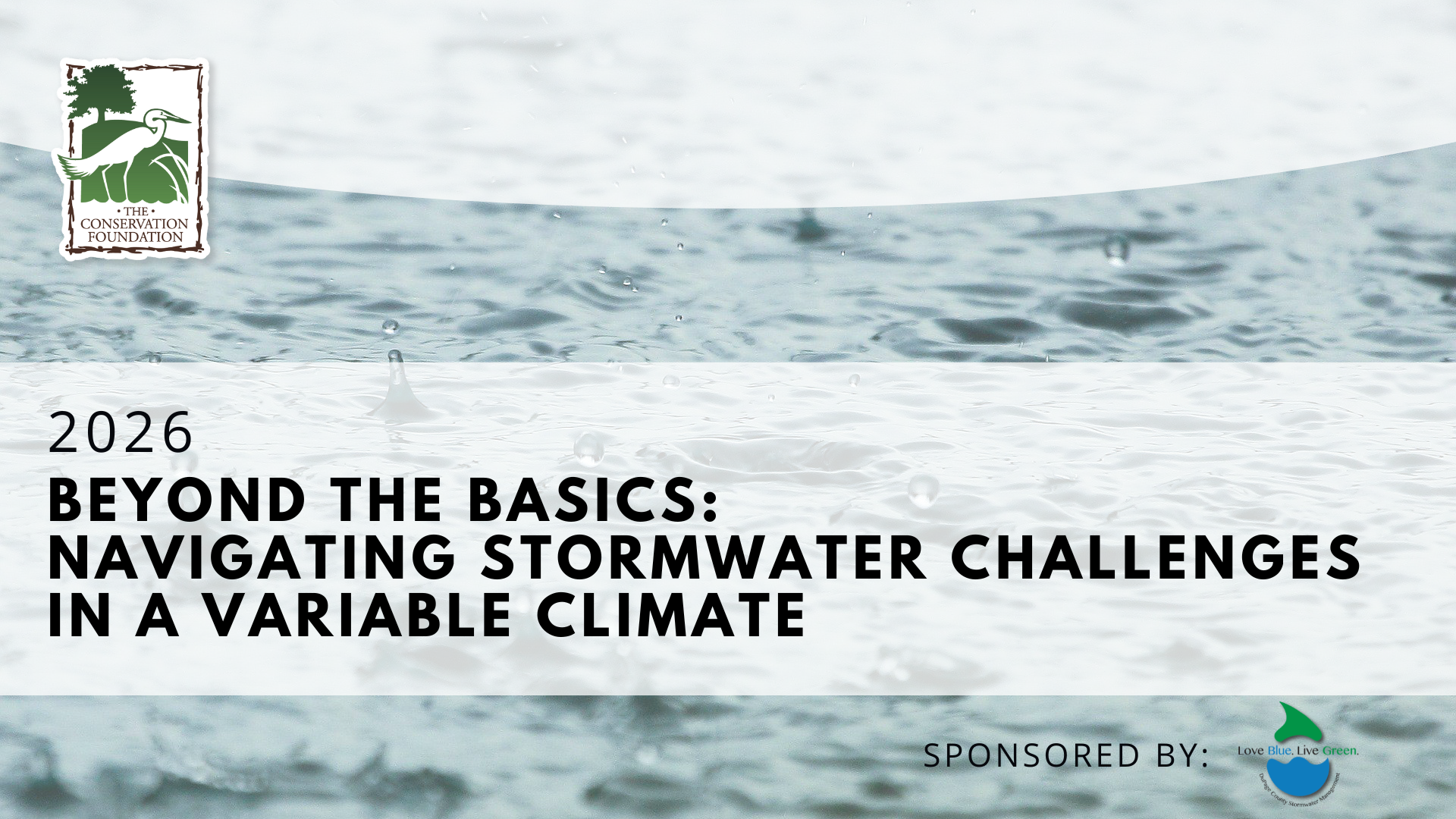 Beyond the Basics - The Conservation Foundation